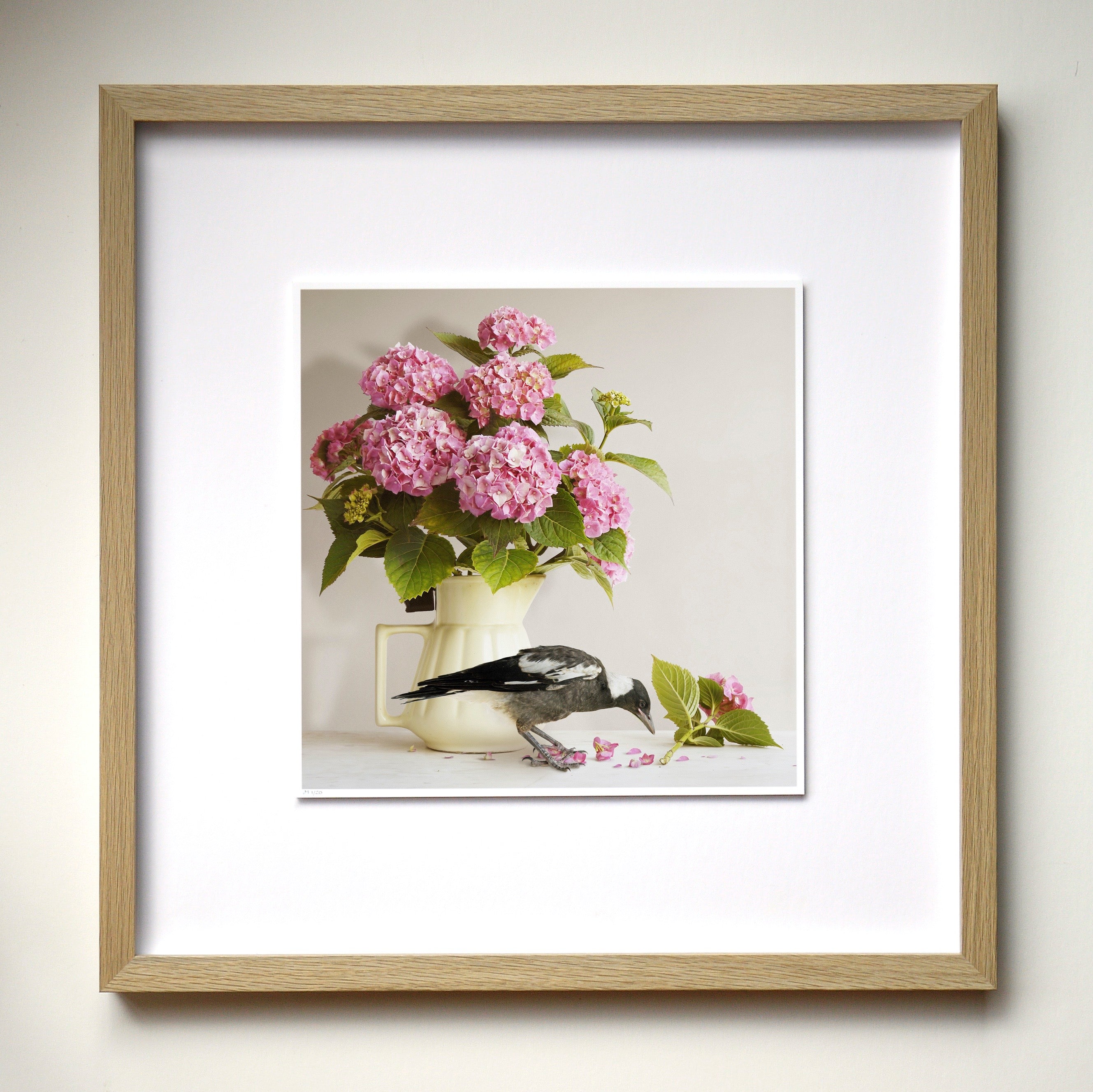 Magpie & Hydrangea - Framed Art by Jason McDonald Mudgee – Loft Mudgee